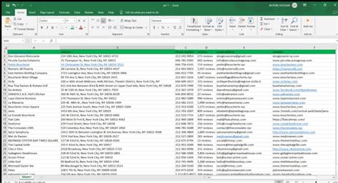 do data entry copy paste typing and pdf to excel by nazmul dataentr