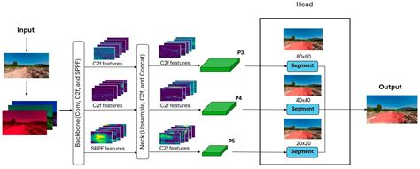 Driveway Detection For Weed Management In Cassava Plantation Fields In Thailand Using Ground