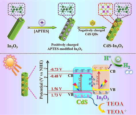 S Scheme Heterojunction Construction Enhances Photocatalytic Hydrogen Evolution