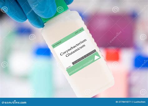 Corynebacterium Glutamicum Stock Image Image Of Biology 277841077