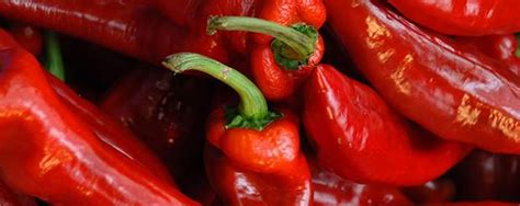 The Heat Is On For The Chilli Me Challenge Quadram Institute