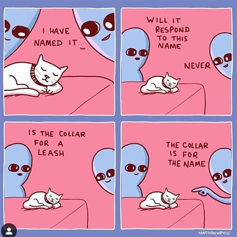 Strange Planet Cat Alien Kitten Humor Alien Cat Comic Planet Comics