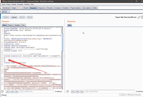 第49天 Waf 绕过 漏洞利用之注入上传跨站等绕过btwaf Csdn博客