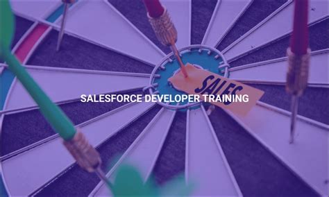 Salesforce Developer Training Alpha Academy