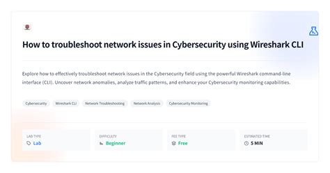 How To Troubleshoot Network Issues In Cybersecurity Using Wireshark Cli Labex