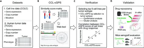 Workflow Of Ccl Cgps A Preparation Of Cell Line Genomics Data From Download Scientific