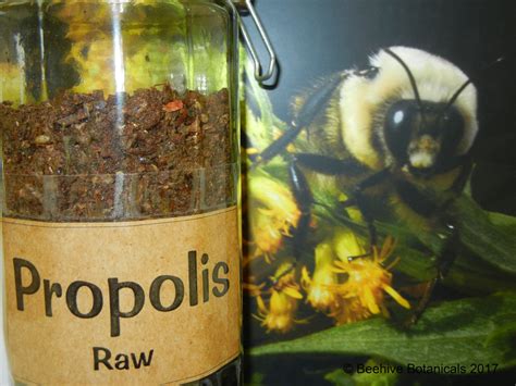 Propolis - American Botanical Council