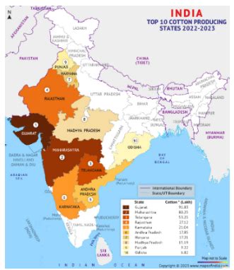 Why Indias Falling Cotton Production Is A Worry Pwonlyias