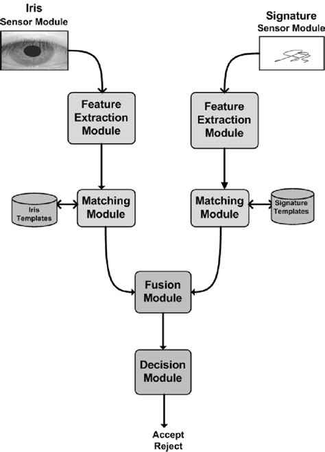 Multi Modal Biometrics System Iris And Signature Download Scientific Diagram