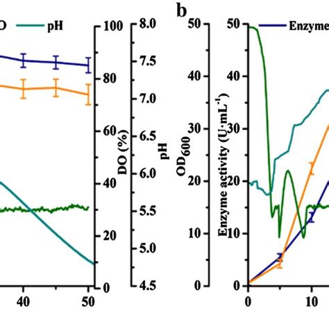 Fed Batch Fermentation Of The Recombinant Strain B Subtilis