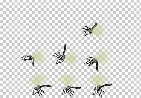 Fly Hollow Knight Insect Sprite Mosquito Png Clipart Arthropod