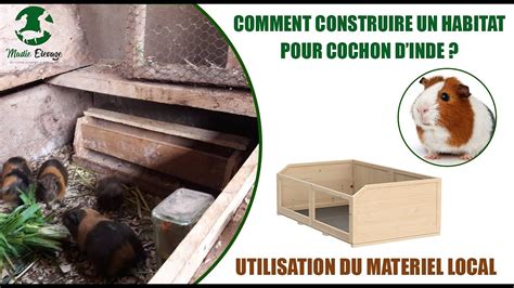 Voici Comment Concevoir A Moindre Coûts Vos Cages Délevage Pour Cochon