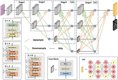 Overview Of Hrmeds Bilinear Nearest Neighbor Interpolation Performs
