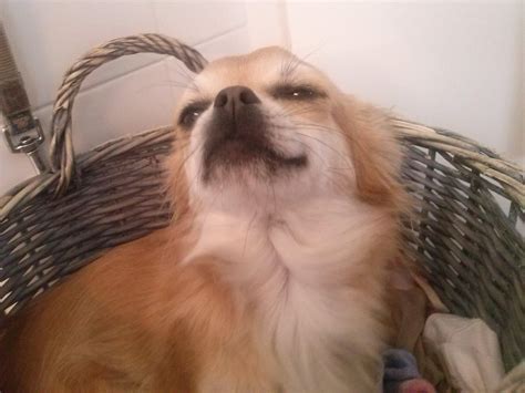 Lucy Mendham Xlucymendhamx Twitter