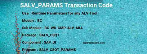 salv params sap tcode for runtime parameters for any alv tool