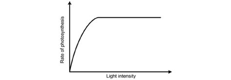 Photosynthetic Response Curve To Light Intensity Download Scientific