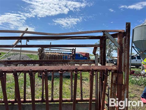 Cattle Processing Chute Agriculture Bigiron