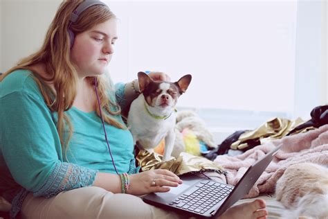 From Novice To Developer Learning Html Css And Javascript Without