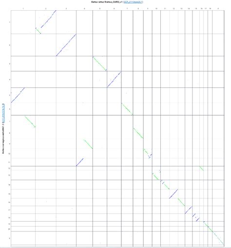 New The Comparative Genome Viewer Cgv Dot Plot Ncbi Insights