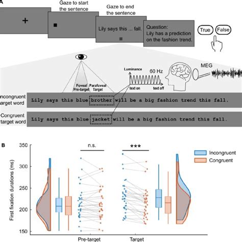 The Paradigm And The Eye Movement Metrics A After The Presentation