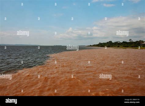 Meeting Of The Waters Of The Rio Negro And Rio Solimoes Rivers In Front