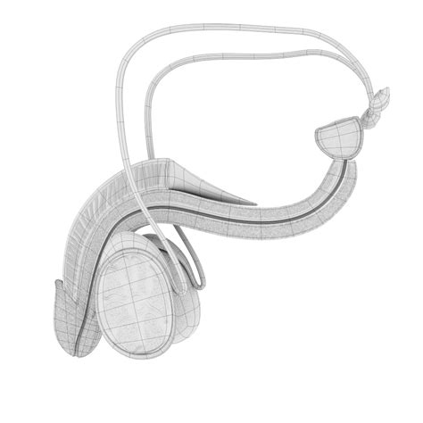 Male Reproductive Dissected 3d Model Turbosquid 1370579