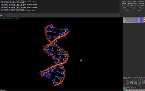 【pymol作图入门】——4 寻找特定单位的互作和任意两原子之间距离的测量
