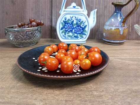 Dwarf Tiny Tim Micro Tomato Bounty Hunter Seeds Rare Seeds