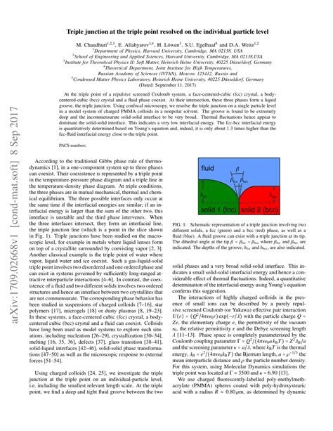 PDF Triple Junction At The Triple Point Resolved On The Individual Particle Level