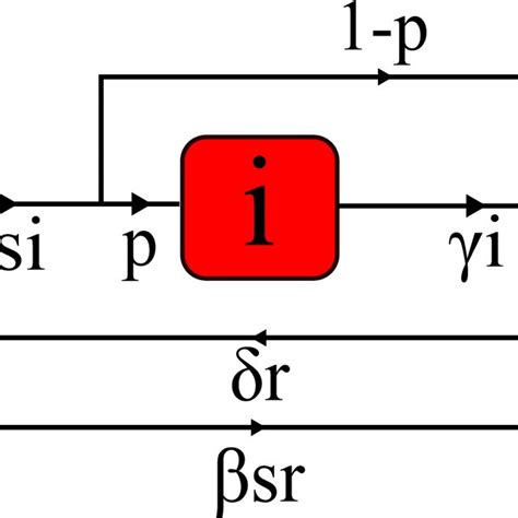 A Schematic Representation Of The Interactions Between The Populations Download Scientific