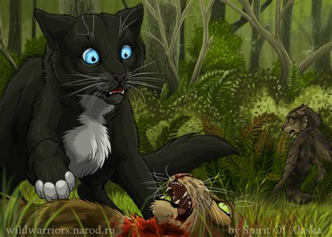 Talon Warrior Cats Boneclaw Art Crowpaw And Feathertail Warrior