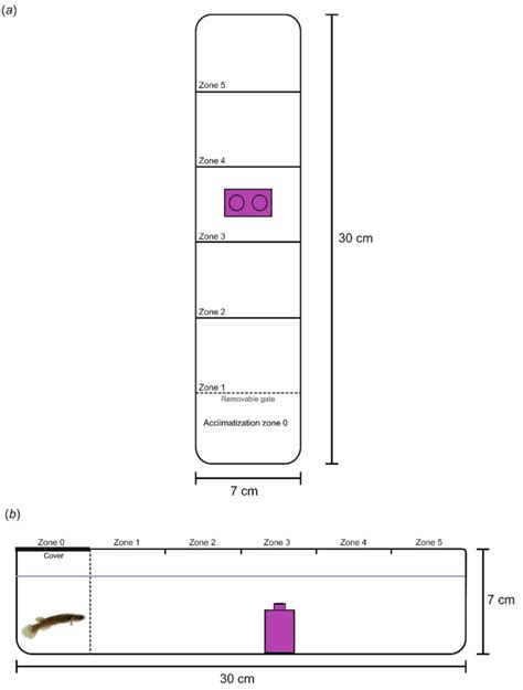 Figure S52 Schematic Representation Of The Test Arena Used To Assess