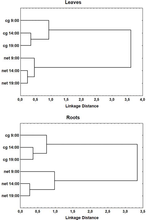 Cluster Analysis Wards Method Of The Plants Collected On 3 May At