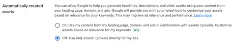 Google Ads Improves Automated Assets Acquisition More Practical Ecommerce