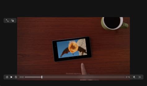 the button fullscreen of video element is hidden in mac os · issue