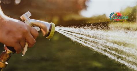 DIY Drip Irrigation: A Step-by-Step Guide for Beginners - Garden Josiah ...