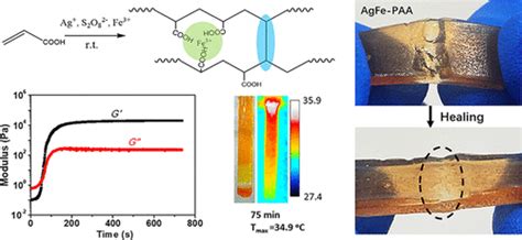 Fast Healing Of Covalently Cross Linked Polymeric Hydrogels By Interfacially Ignited Fast
