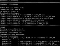 How To YUM Install Node JS On Amazon Linux GeeksforGeeks