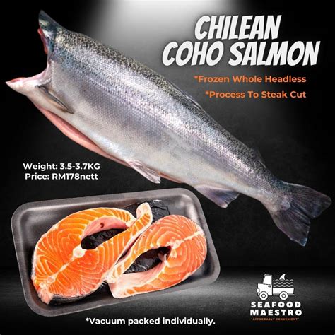 Frozen Chilean Coho Salmon Whole Headless Process To Steak Cut
