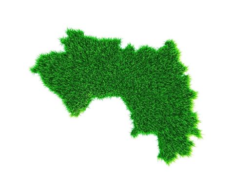 Page 11 Leaf Map Guyana Images Free Download On Freepik