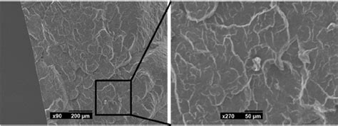 Sem Micrographs Of Freeze Fractured Surfaces Of Pp Mmt Samples After