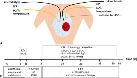 A Neurosurgical Instrumentation Via Craniotomy Above The Left And Download Scientific Diagram