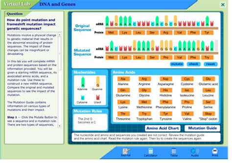 Solved Fill In The Mutated Sequence And Amino Acid Sequence
