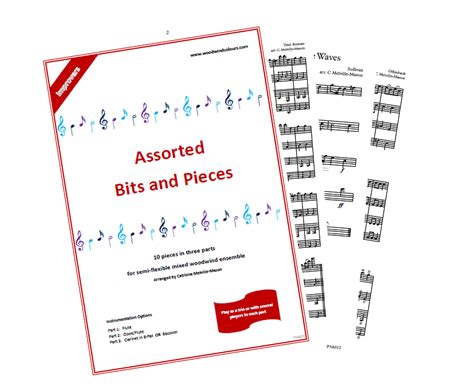 Assorted Bits And Pieces Woodwind Colours