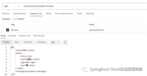 基于SpringBoot自定义接口响应消息格式及原理解析 CTO COM