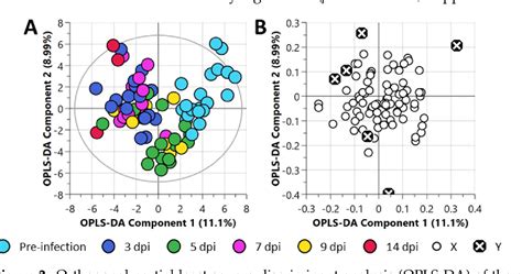 Figure 2 From A Time Series Metabolomic Analysis Of Sars Cov 2 Infection In A Ferret Model