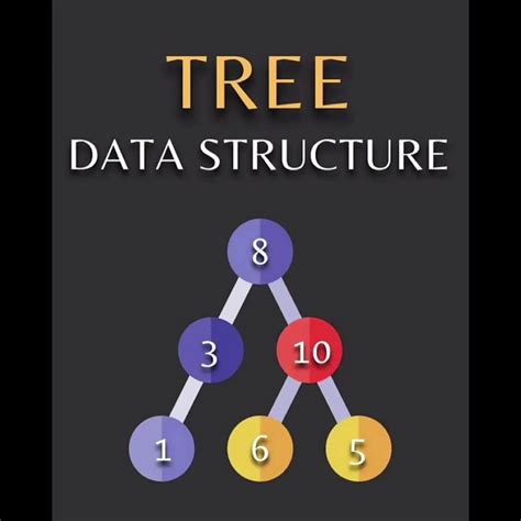Tree Data Structures In Python Coding Ailearning Youtube