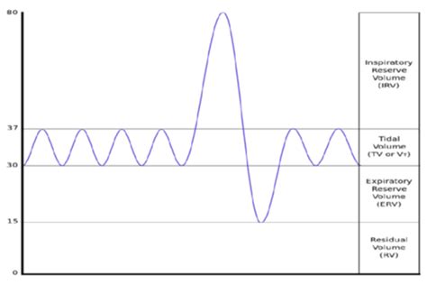 Week 07 Lecture 08 Oxygenation And Ventilation Flashcards Quizlet