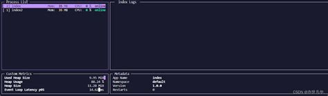 Nodejs 》深入理解 Pm2：nodejs 应用部署和管理利器pm2管理器node Csdn博客