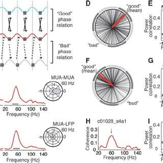 PDF Modulation Of Neuronal Interactions Through Neuronal Synchronization